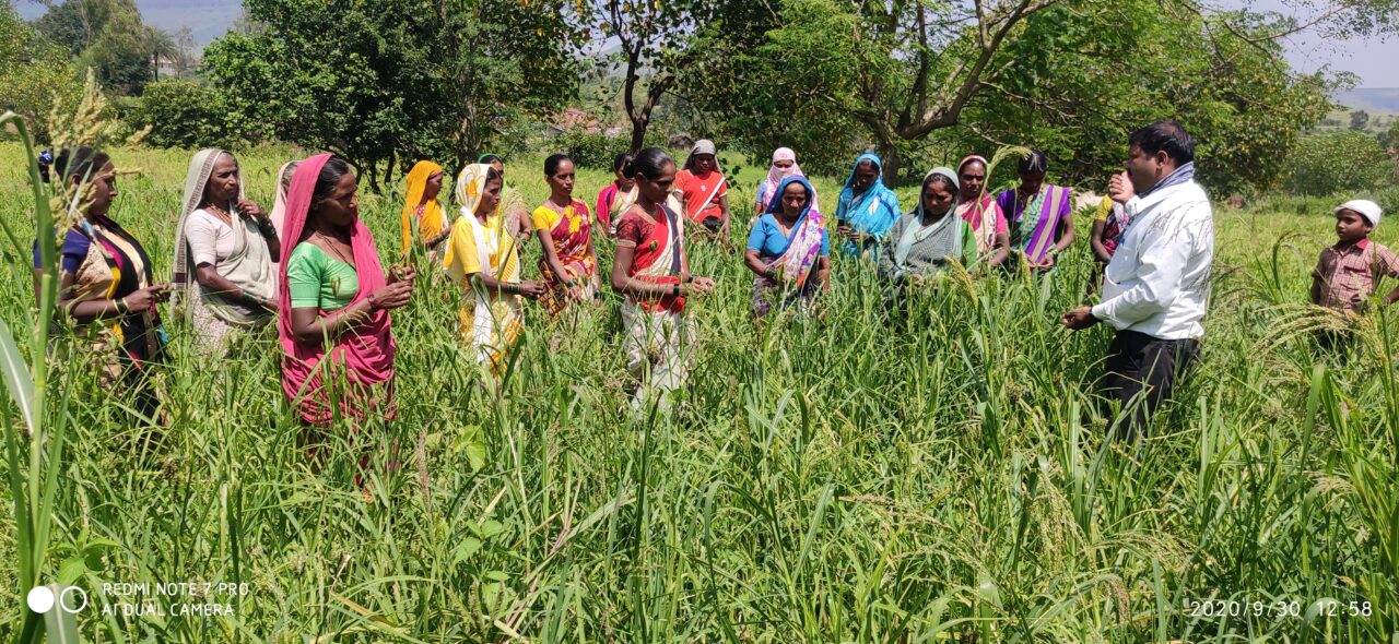 Agro-Biodiversity Conservation and Climate-resilient Agriculture | BAIF